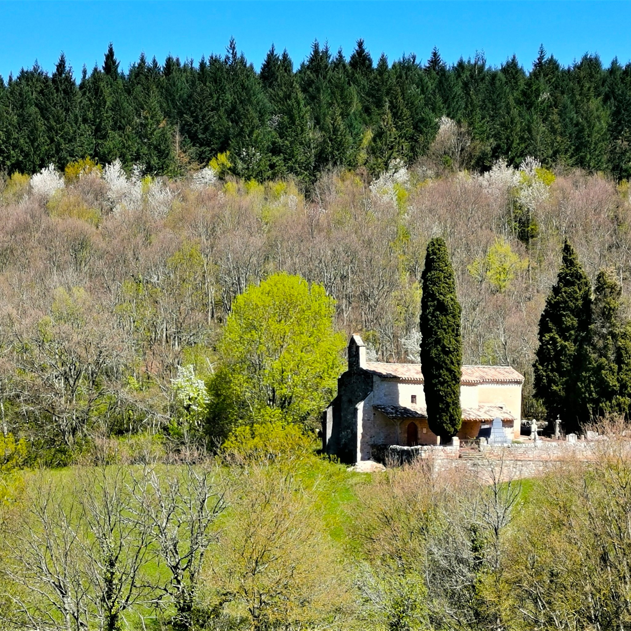 L'éden de Mespel Tarn Primes Pâquerettes Régénération - Les Naturales